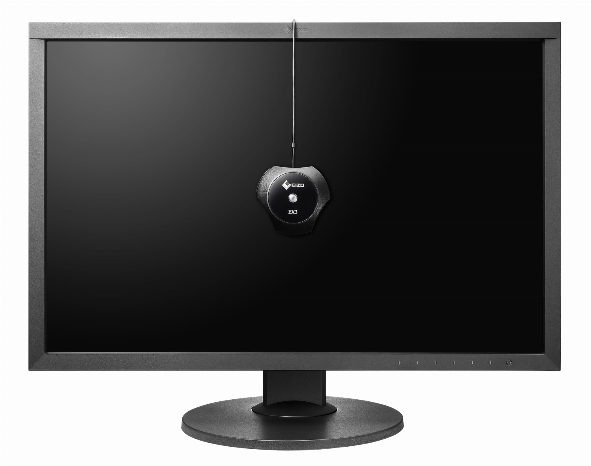 Monitor dla grafika Eizo CS2420 24 cale - Digital Partner