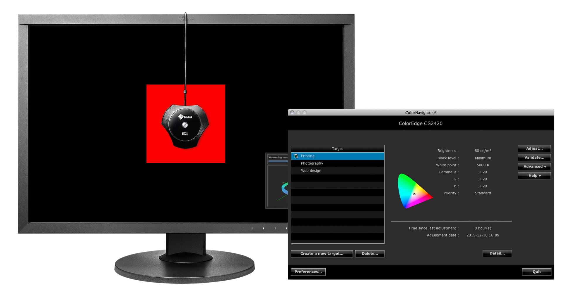 Monitor dla grafika Eizo CS2420 24 cale - Digital Partner